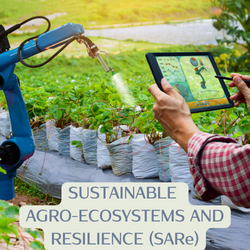 Sustainable Development and Agroecosystem Resilience (SARe) - CIHEAM Bari