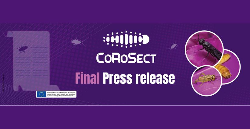 EU Project CoRoSect comes to a close: new dawn for insect farming ...