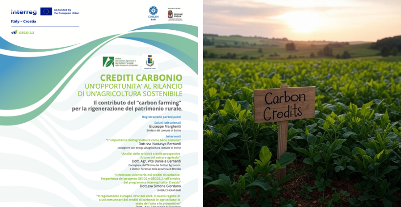 Carbon farming: un’opportunità per l’agricoltura sostenibile - CIHEAM Bari